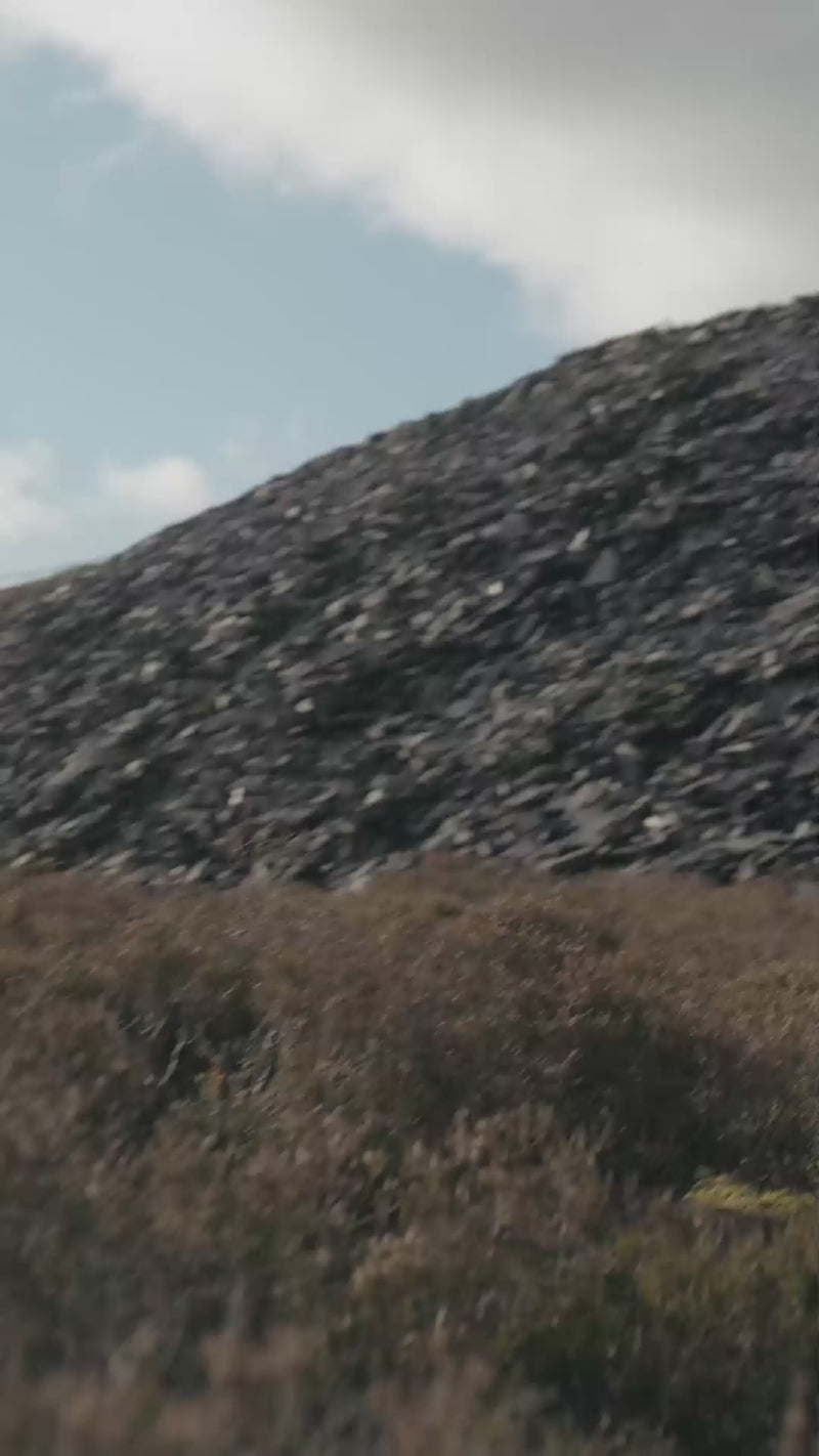 Trailberg - Dedication to Elevation